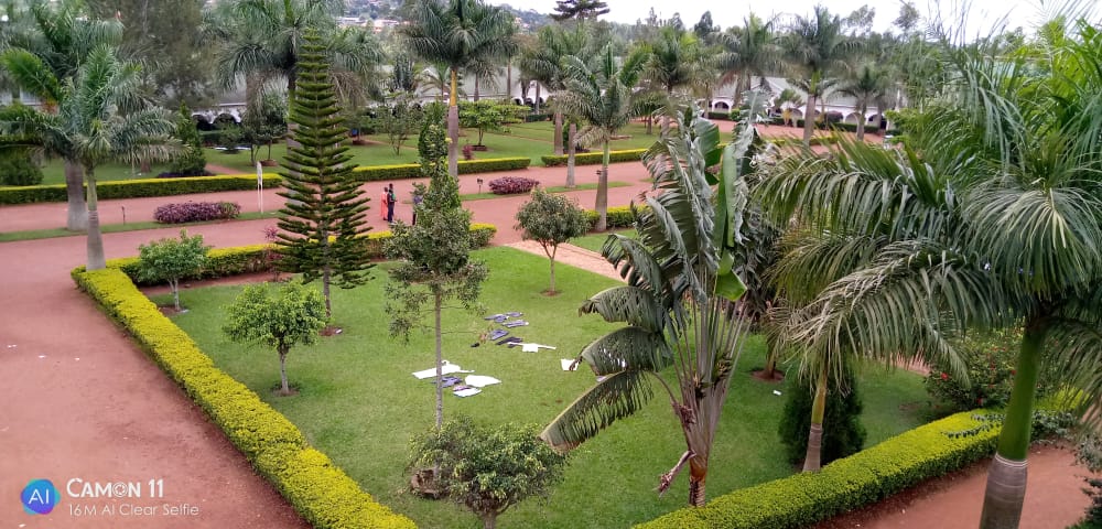 Home - Emirates College School